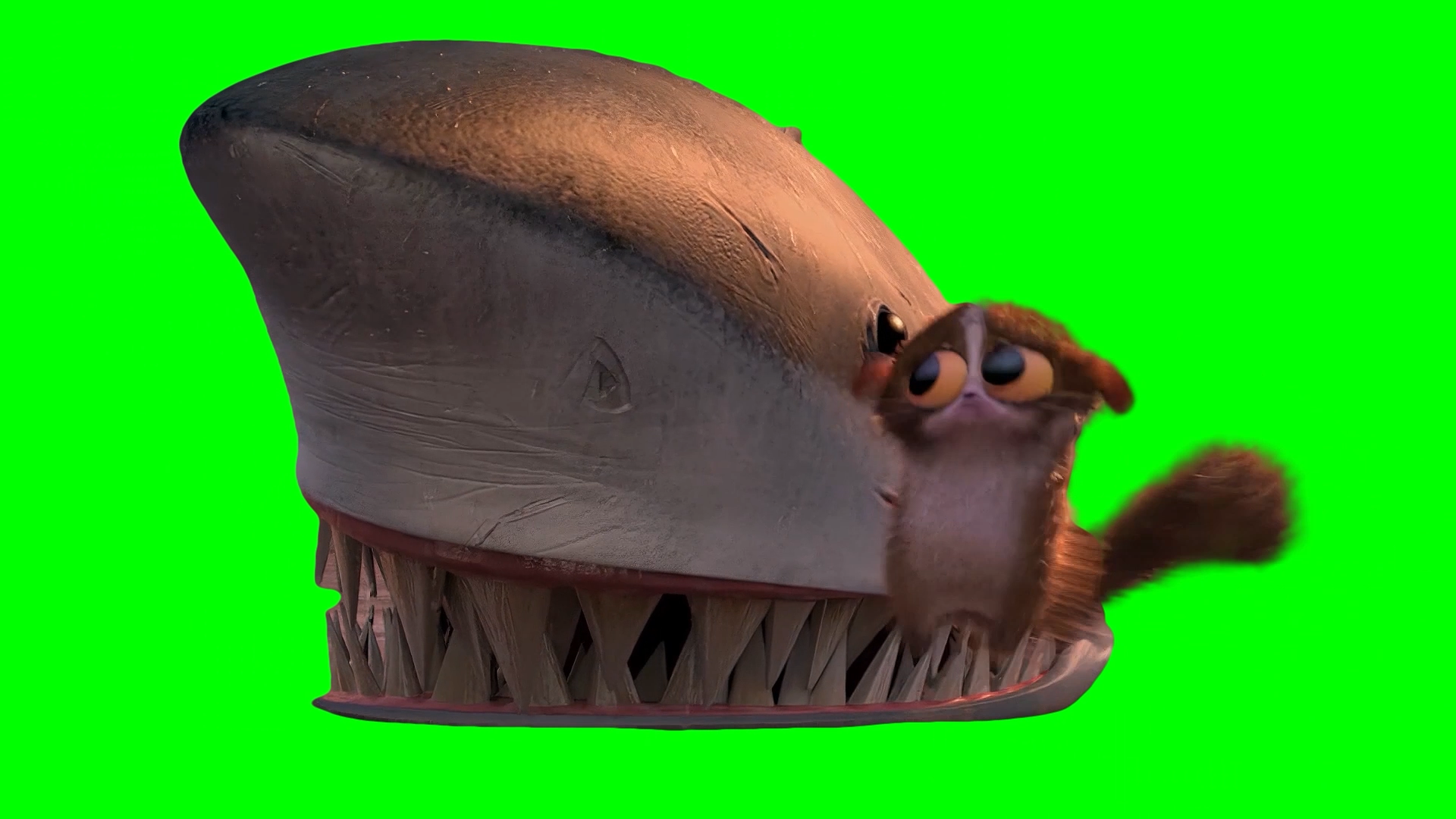 Mort getting chased by a shark meme V2 - Madagascar 2 (Green Screen ...