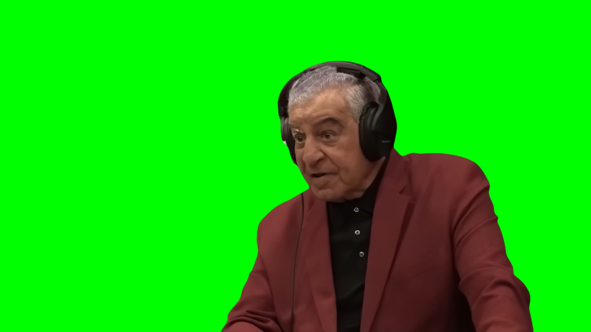 Zahi Hawass saying "In My Book" meme (Green Screen) – CreatorSet