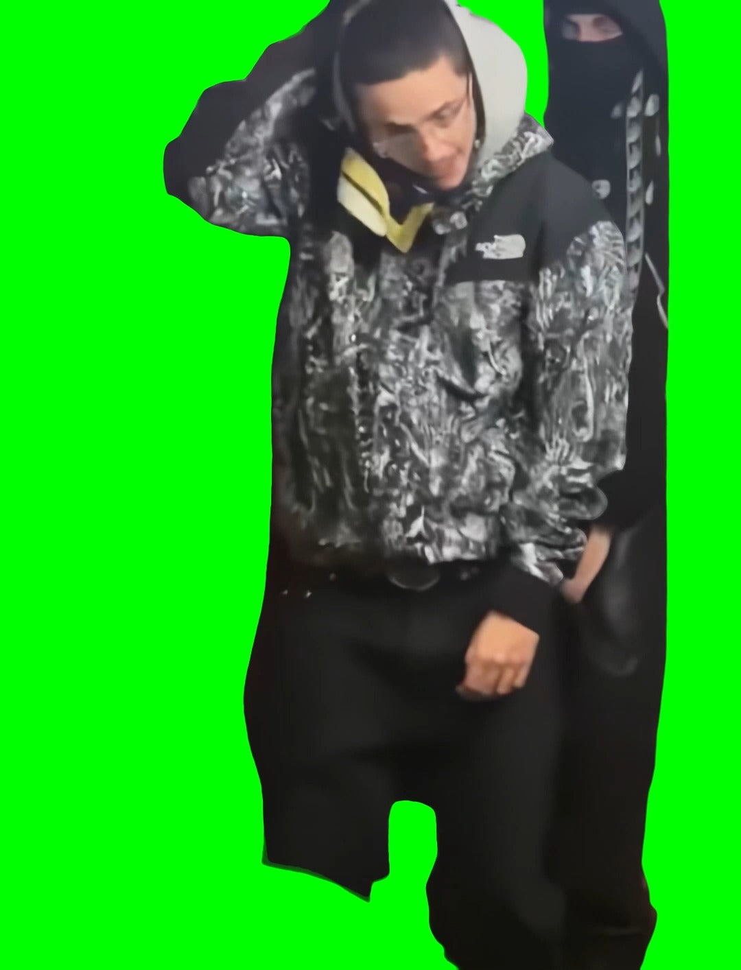 Timothée Chalamet Unmasking meme V2 - 4 Raws (Green Screen) – CreatorSet