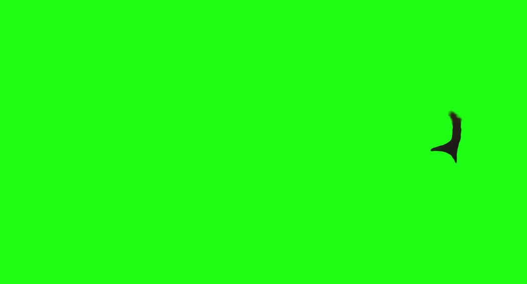 Rodrick Holding Camera meme - Diary Of A Wimpy Kid (Green Screen ...