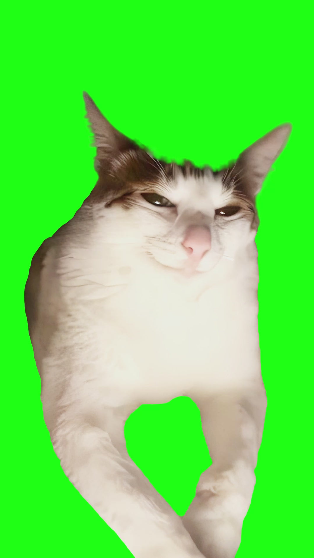 Cat Evil Smile meme - Uncle Bao (Green Screen) – CreatorSet