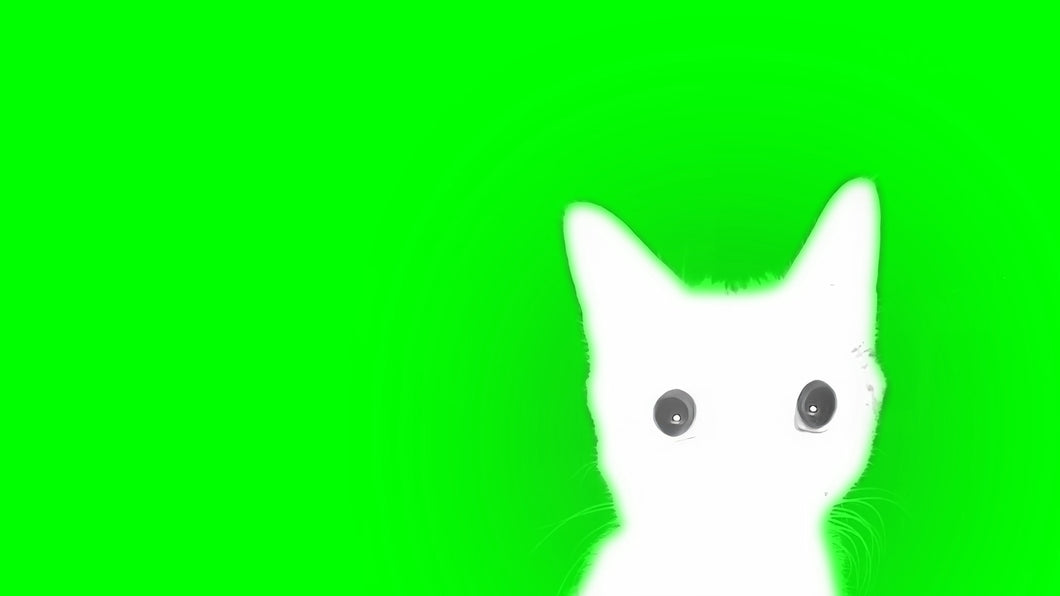 Cat Getting Flashbanged meme (Green Screen) – CreatorSet