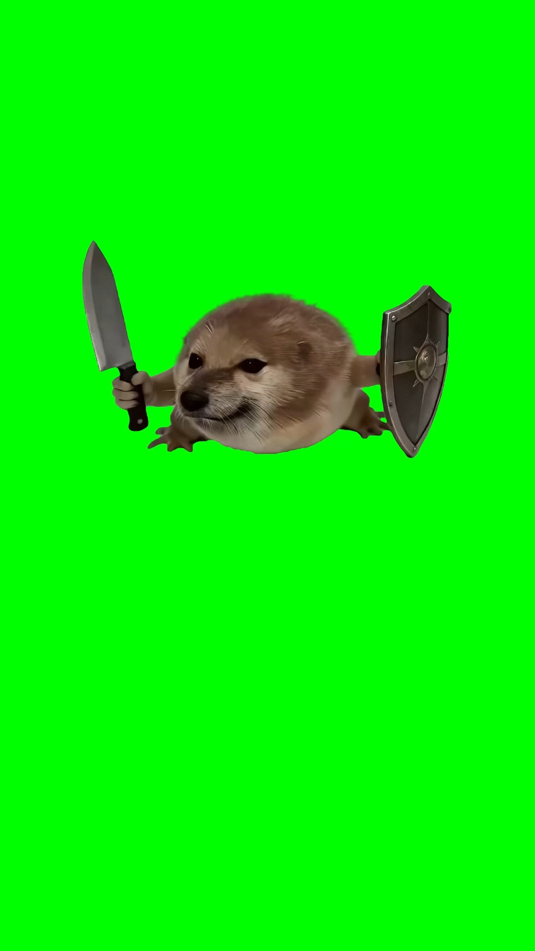 Chinese Frog Dog Fighting with Sword and Shield meme (Green Screen ...