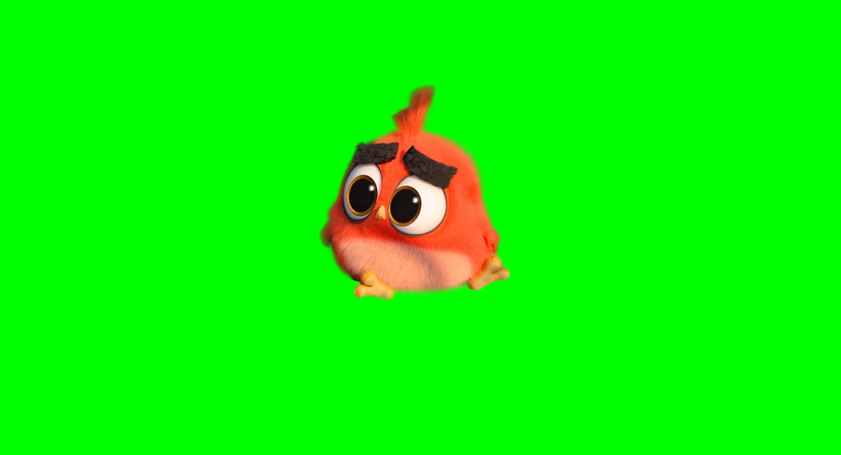 Lonely Red Angry Bird meme - The Angry Birds Movie 2 (Green Screen ...