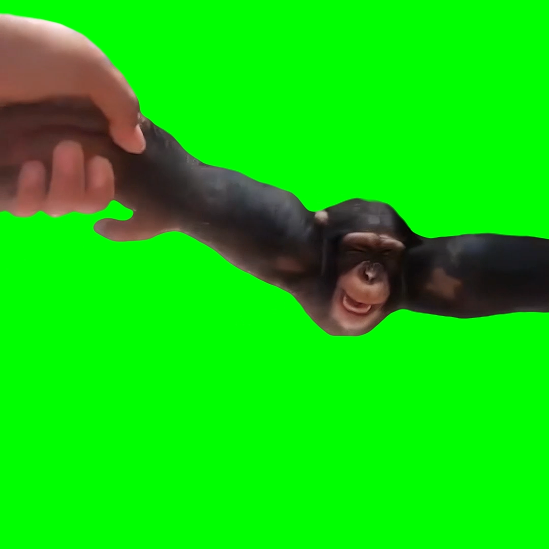 Baby Chimpanzee Spinning Around meme (Green Screen) – CreatorSet