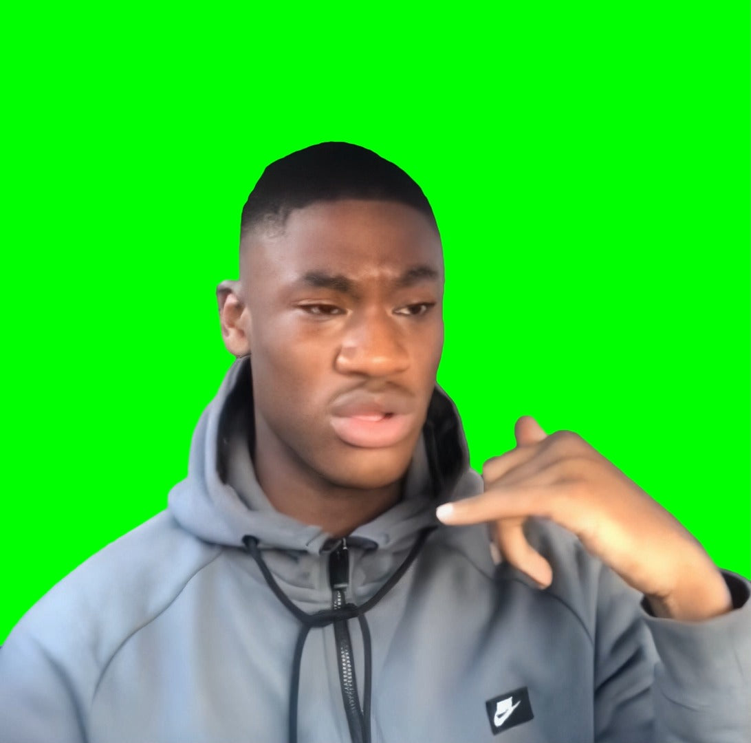 You're Ruining It! meme (Green Screen) – CreatorSet