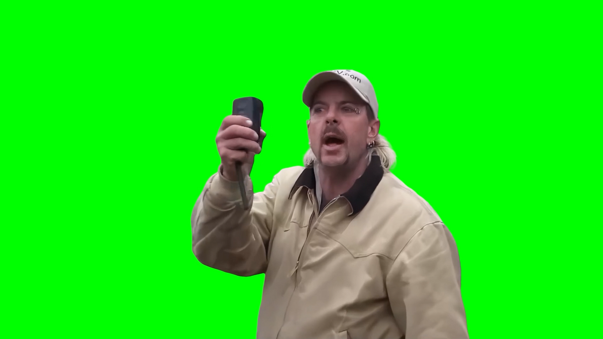Joe Exotic saying "I CALLED FOR HELP TWICE!" meme - Tiger King (Green ...