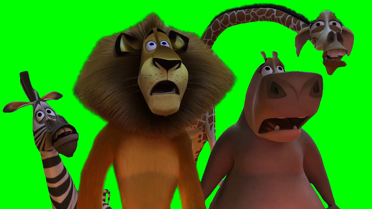Madagascar "Do You Have Any Live People?" meme (Green Screen) – CreatorSet