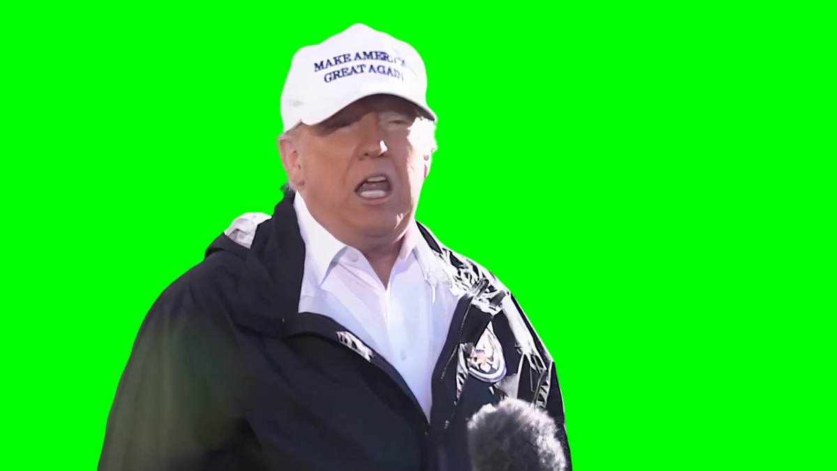 Donald Trump - "I will do it" (Green Screen) – CreatorSet