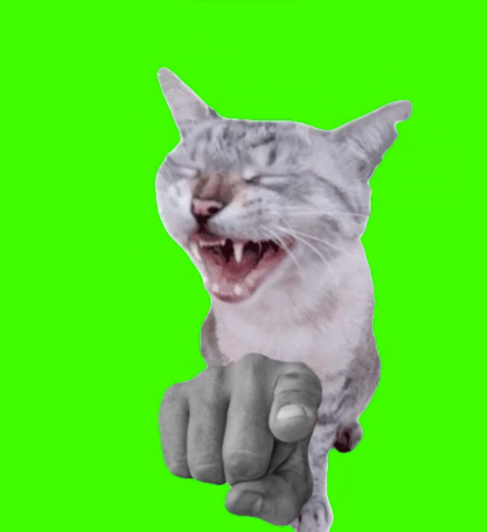 Grey Cat Pointing and Laughing meme (Green Screen) – CreatorSet