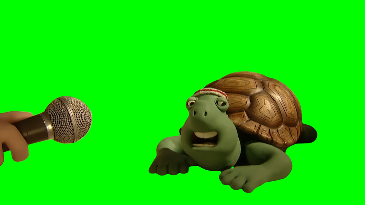 Turtle saying "Um" meme - Creature Comforts (Green Screen) – CreatorSet