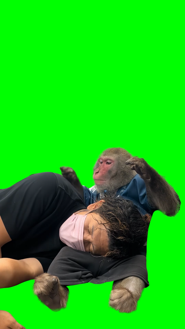 Monkey Comforting a Man meme (Green Screen) – CreatorSet
